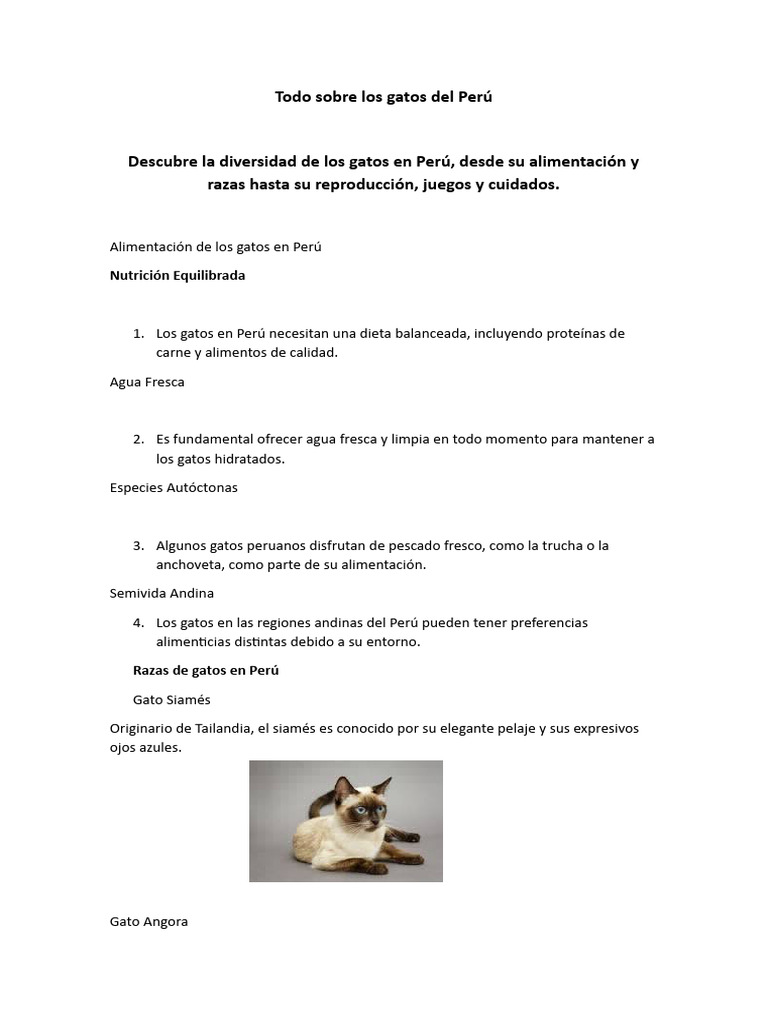 Todo Sobre Los Gatos Del Perú | PDF | Gatos | Perú