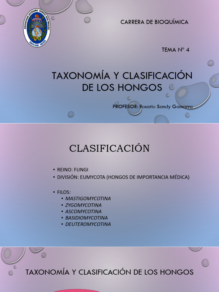 tema 4- TAXONOMÍA Y CLASIFICACIÓN DE LOS HONGOS | PDF | Hongo ...