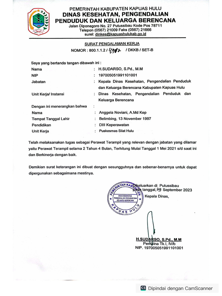 Pengalaman Kerja Novi | PDF