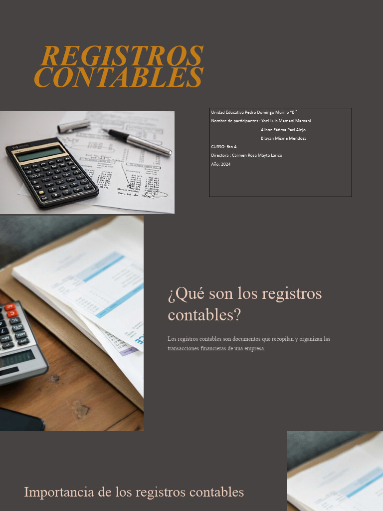 Que Son Los Registros Contables | PDF | Contabilidad | Estado financiero
