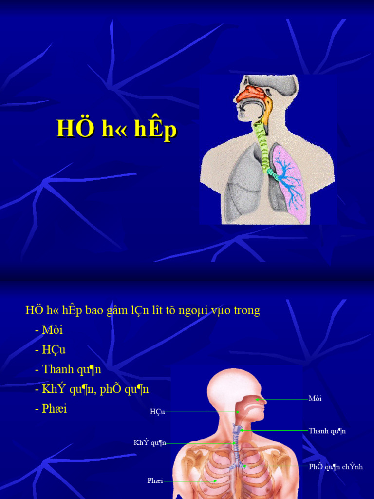 TH 5 He Ho Hap | PDF
