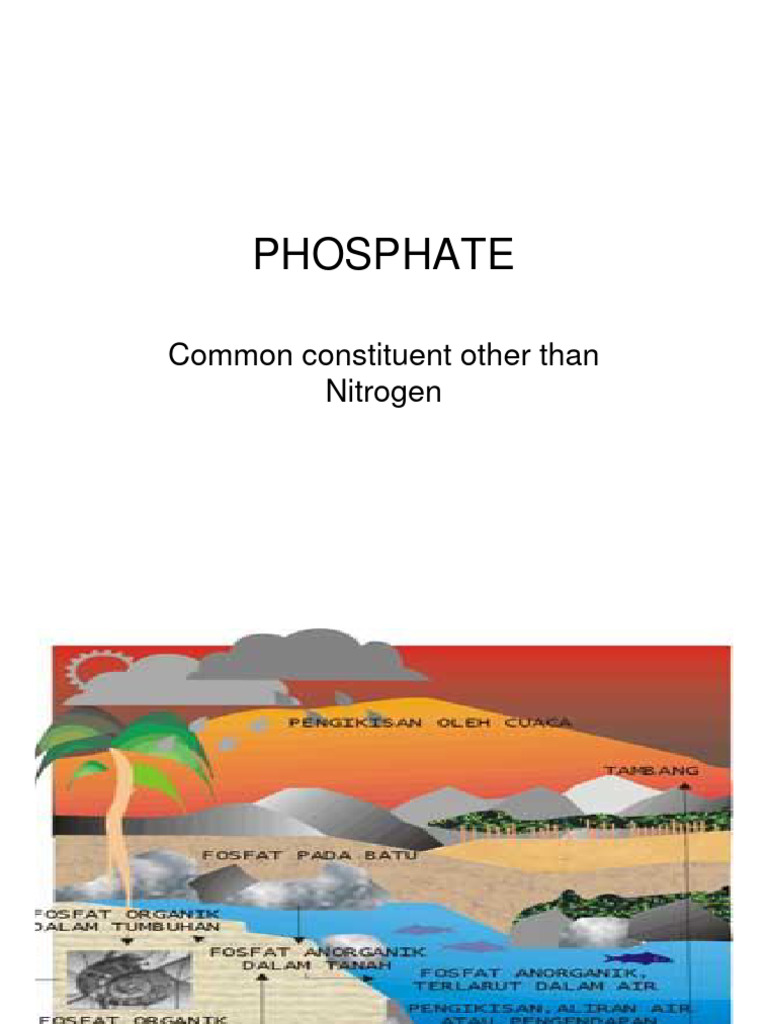 V. Phosphate | PDF | Sains & Matematika