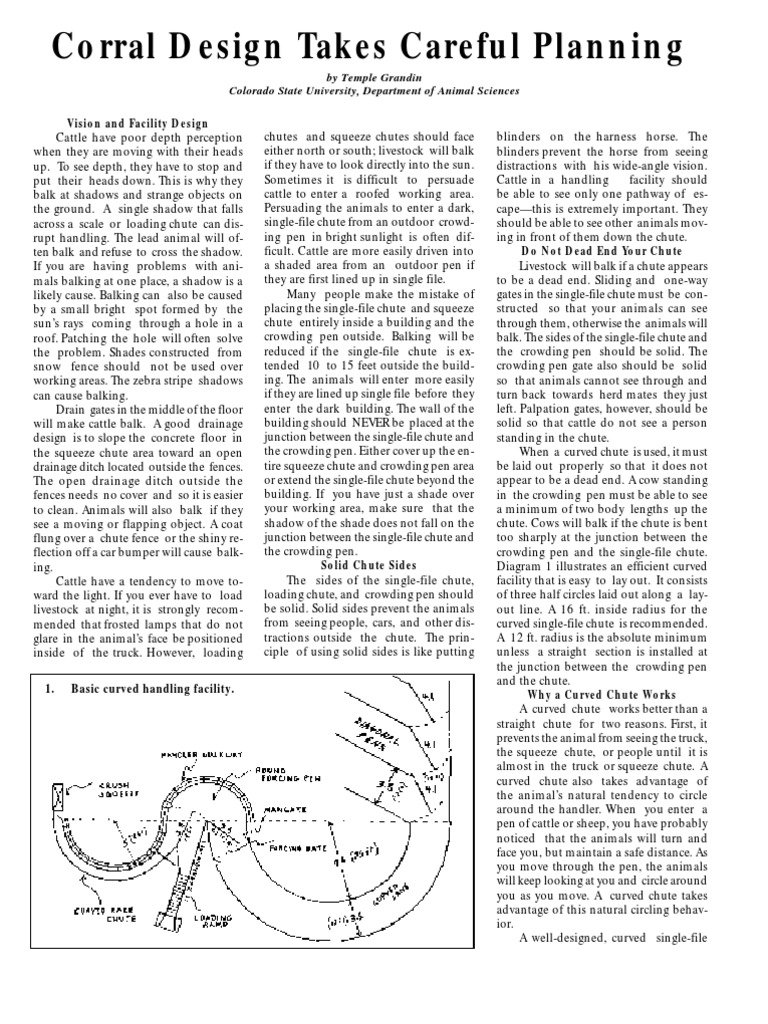 Basic Cattle Corral Design | PDF | Cattle | Calf