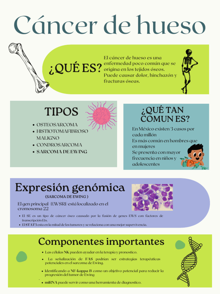 Cartel Bone Cancer | PDF