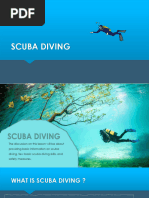 Beginner's Guide to Scuba Diving | PDF | Scuba Diving | Underwater Diving