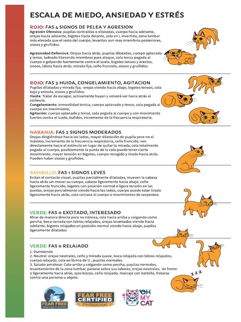 Escala Fas Ohmycat | PDF