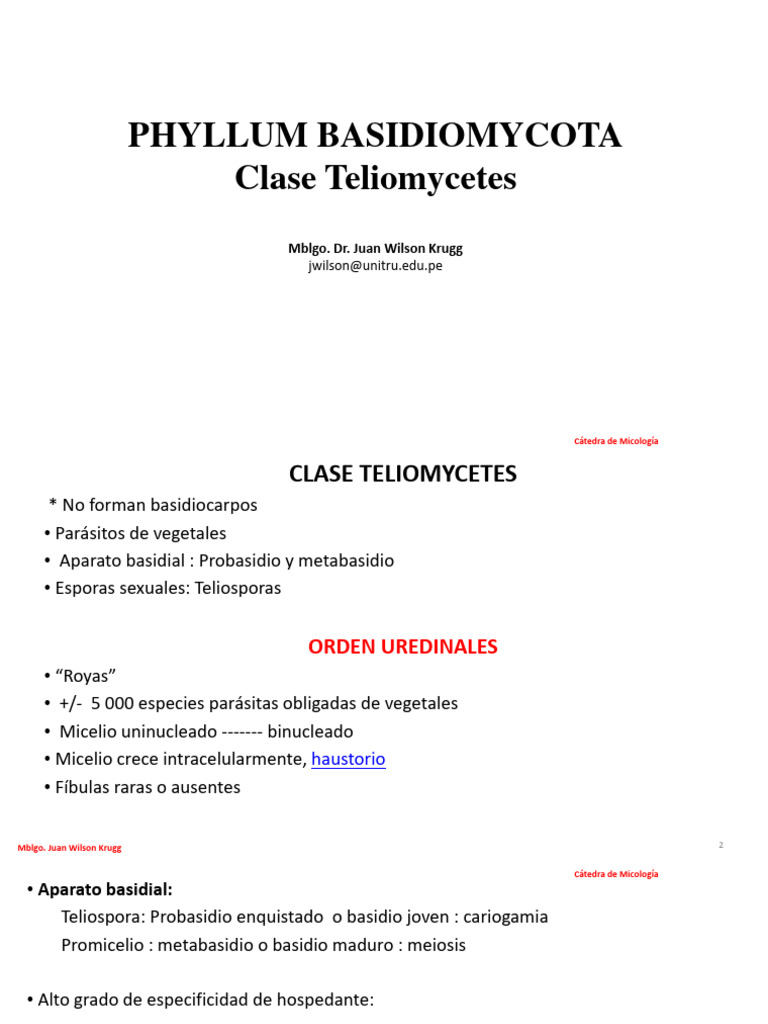 OVA TEORÍA 14. Clase Teliomycetes - Cryptococcales | PDF | Hongo | Biología
