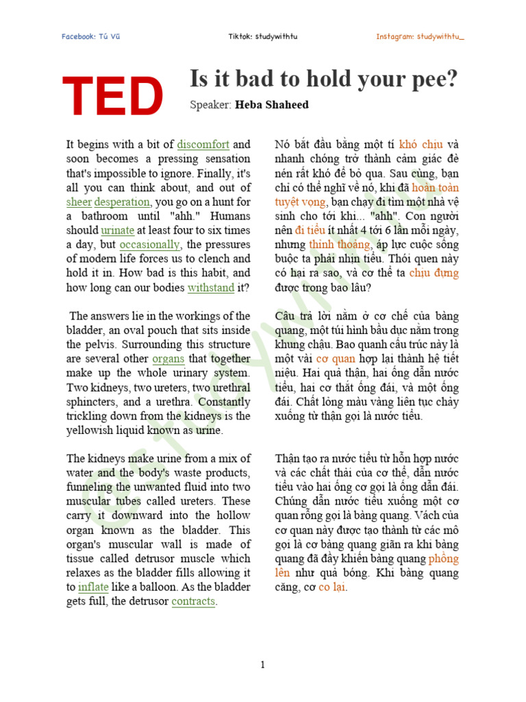 Is It Bad To Hold Your Pee? | PDF