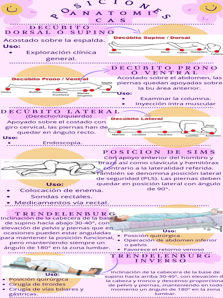 Infografia de Posiciónes Anatomicas | PDF | Pelvis | Anatomía
