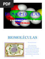 Importancia de los CHONPS en la vida | PDF | Alimentos | Nutrientes