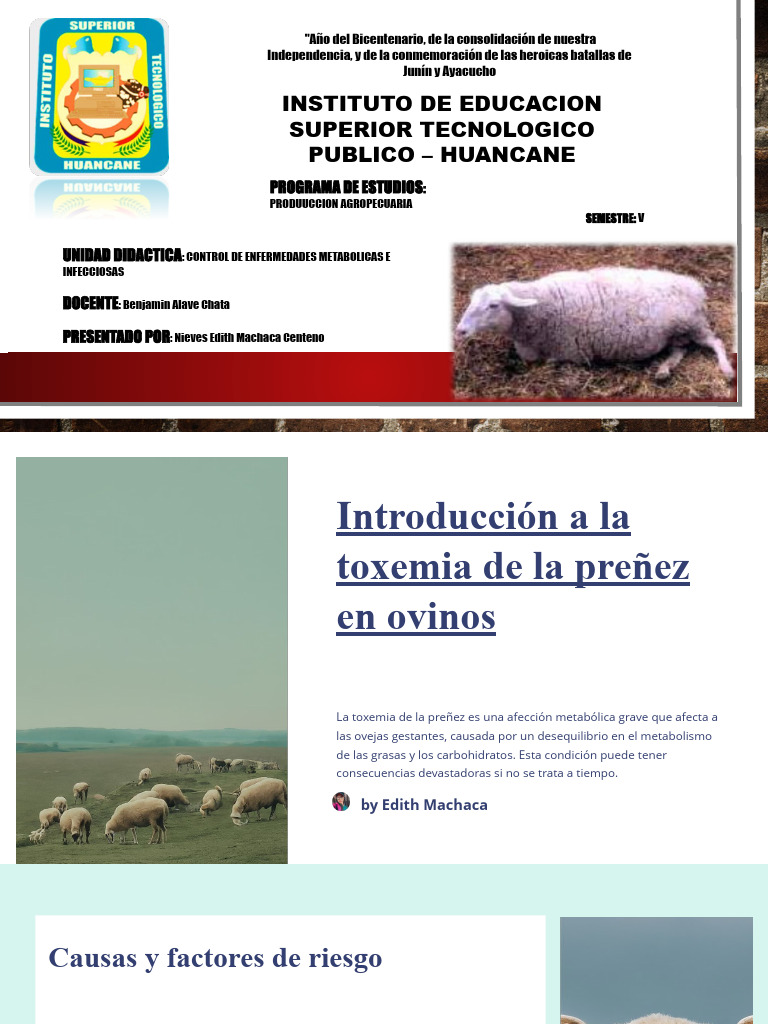Toxemia de la Preñez en Ovinos | PDF | Nutrición | Dieta y nutrición