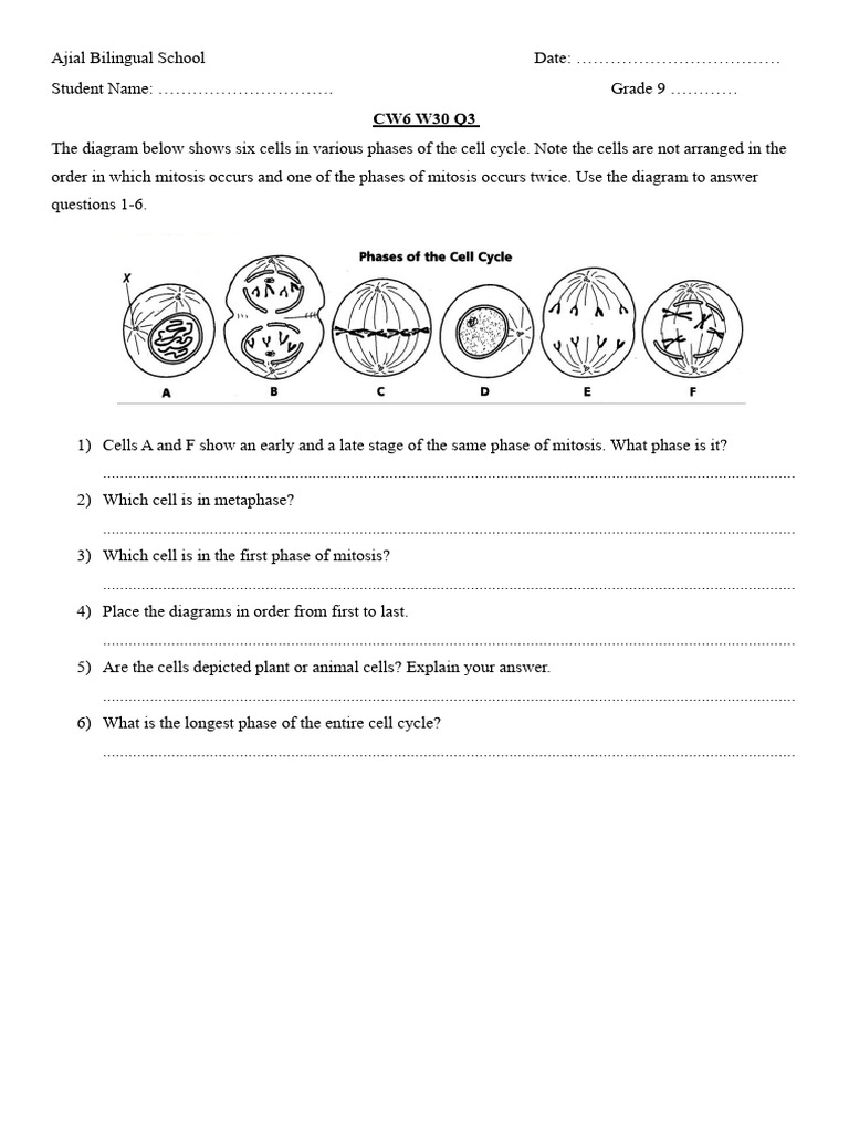 GR 9 CW6 W30 Q3 | PDF