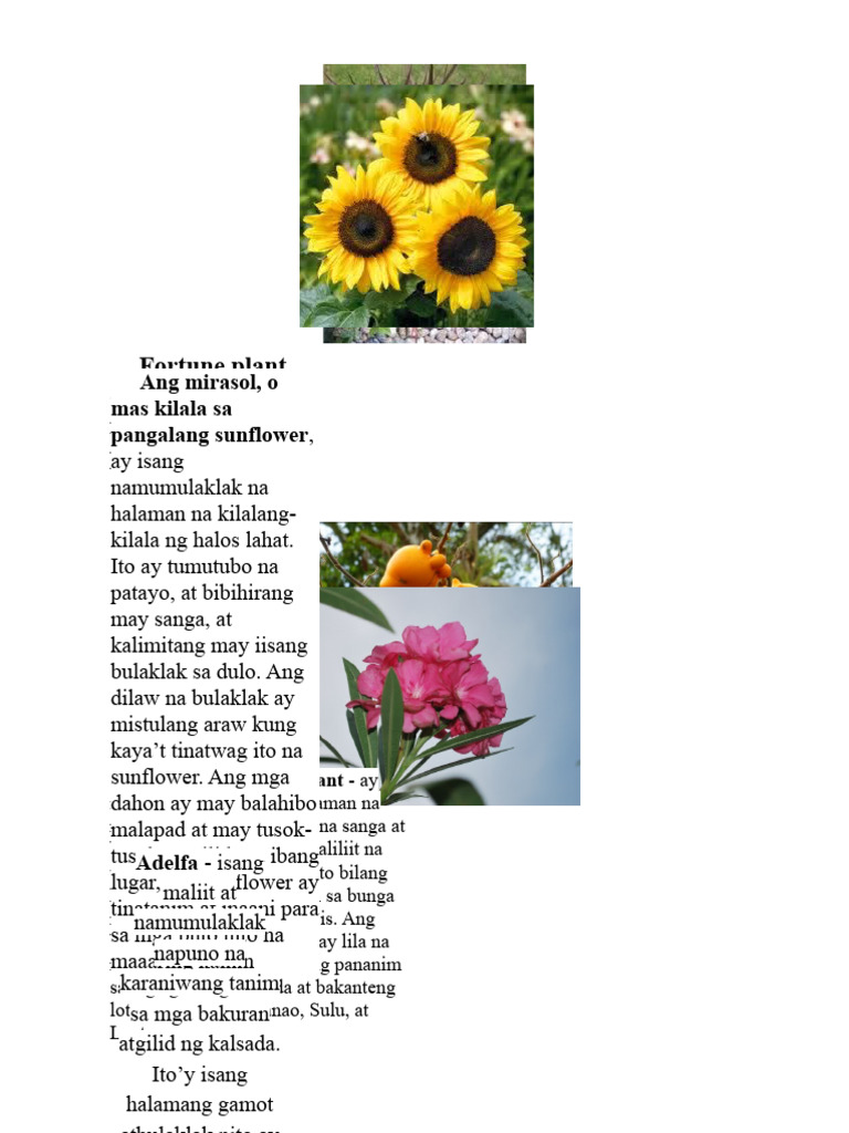 Mga Halamang Ornamental | PDF