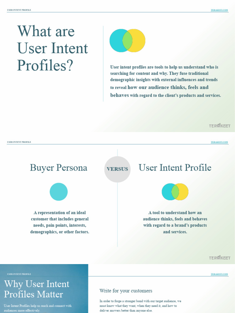 Terakeet - Buyer Persona Template | PDF | Target Audience | Marketing