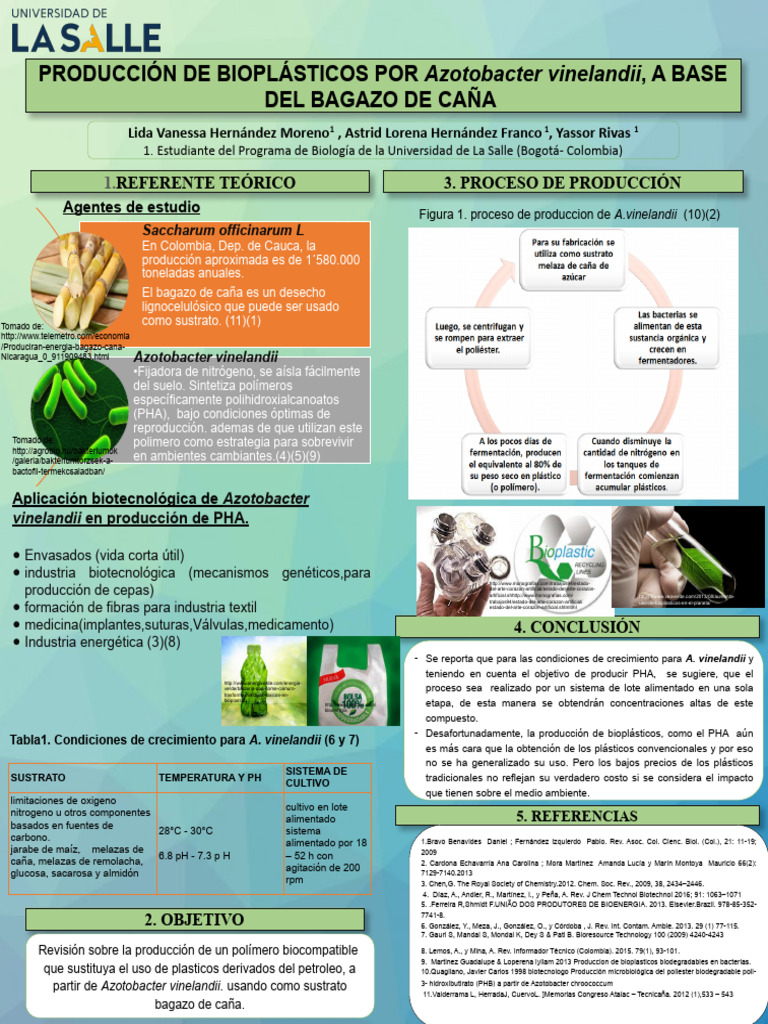 Poster Bioprocesos | PDF | Caña de azúcar
