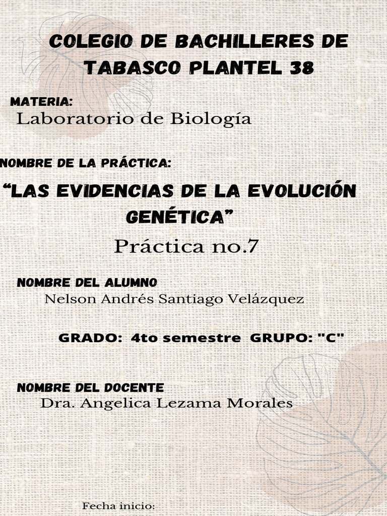 Fondos para Whatsapp Minimalista Blanco - 20240428 - 200101 - 0000 | PDF | Evolución | Biología