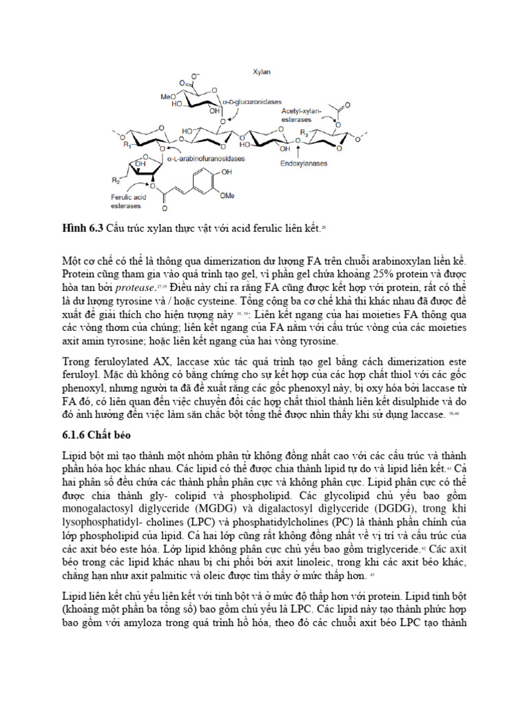 Asparaginase - An Enzyme For Food-Trang-6-Trang-4 | PDF