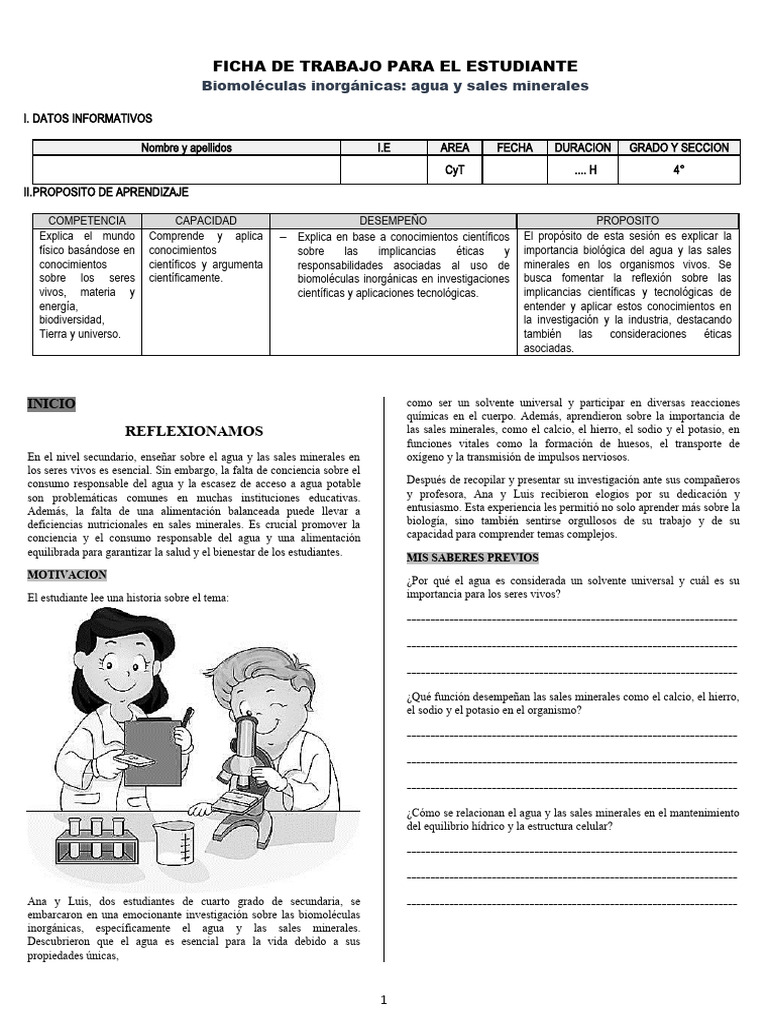UNIDAD 1 - FICHA - SEM 3 - CIENCIA 4° | PDF | Organismos | Biomoléculas