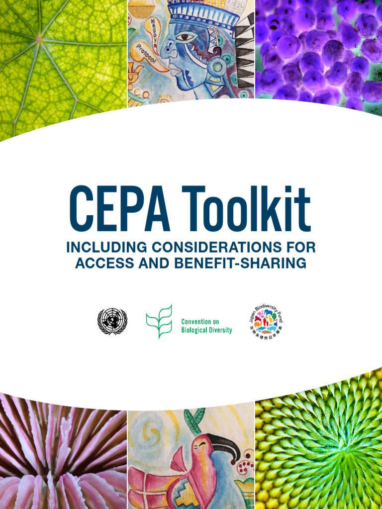 CEPA-toolkit-English-F | PDF | Survey Methodology | Target Audience