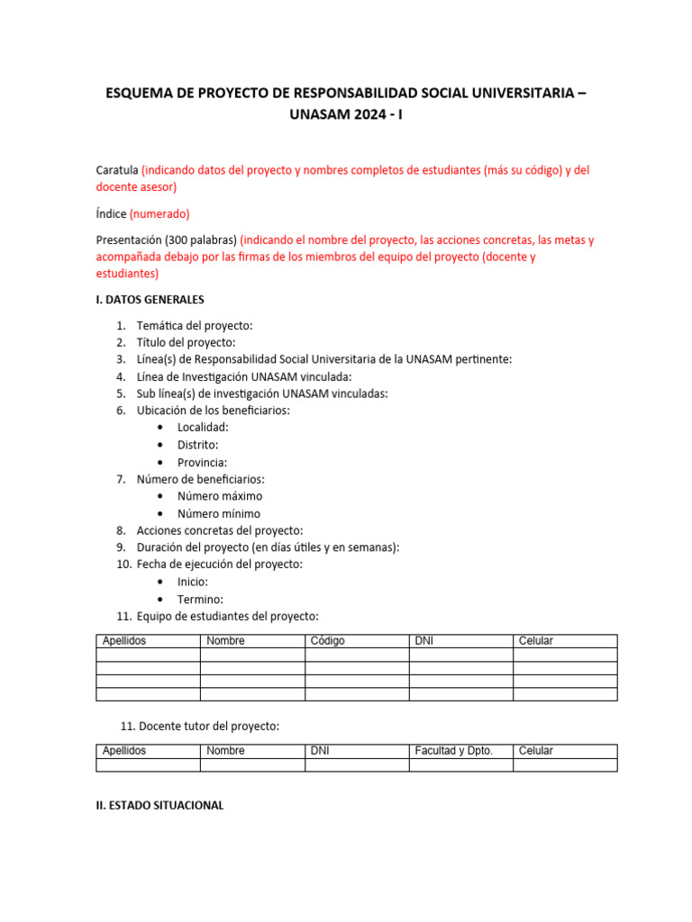Esquema de Proyecto de Responsabilidad Social Universitaria - Unasam 2024 - I | PDF | Informática