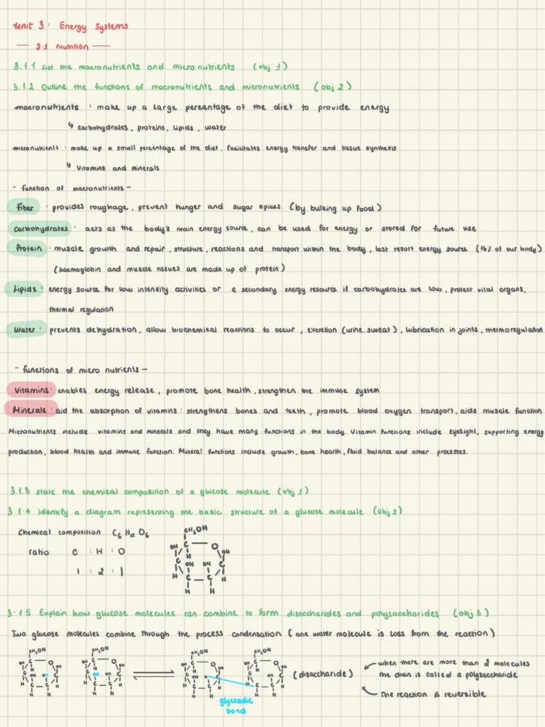 DP Sport Science unit 3 | PDF | Glycogen | Fat