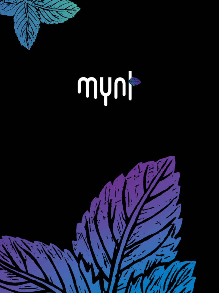Mynt Restaurant Shillong | PDF | Indian Cuisine | Hamburgers