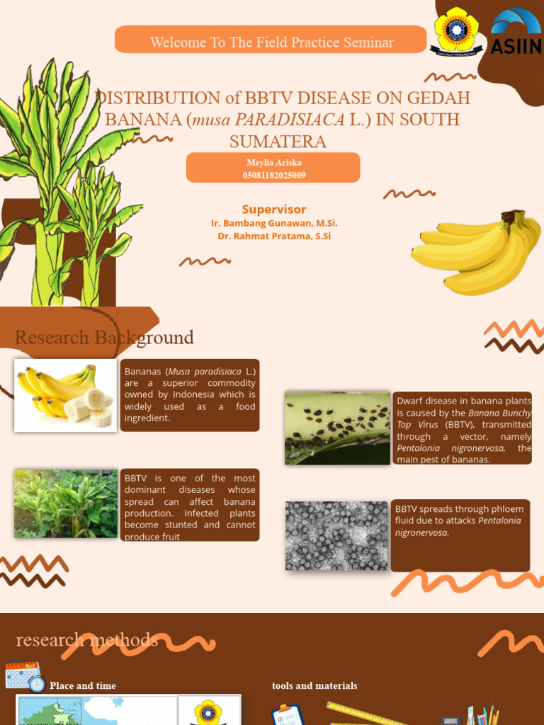 Meylia Presentation Field Practice | PDF | Banana | Leaf