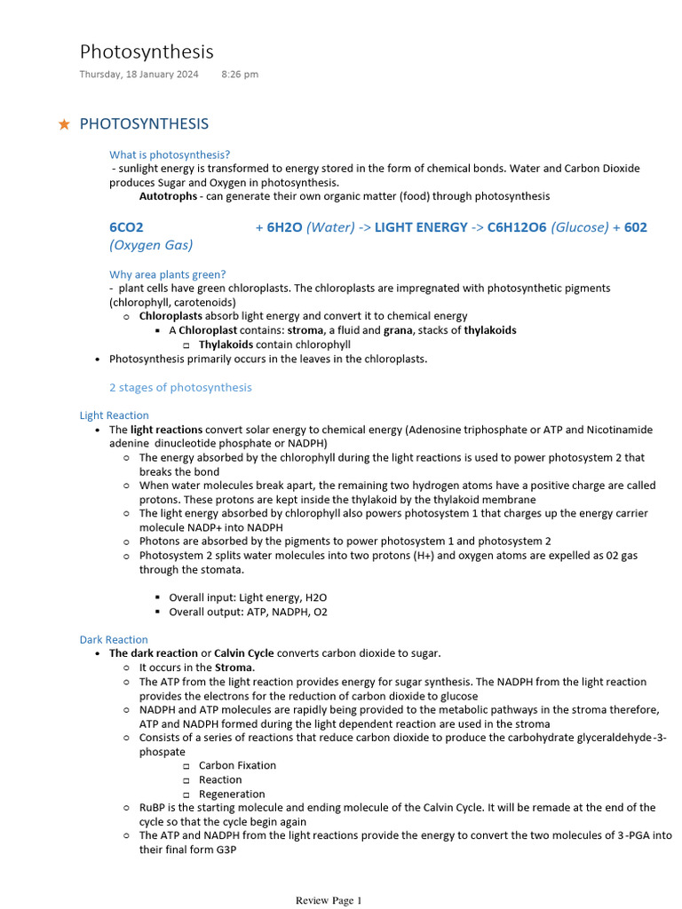 Photosynthesis | PDF | Photosynthesis | Cellular Respiration