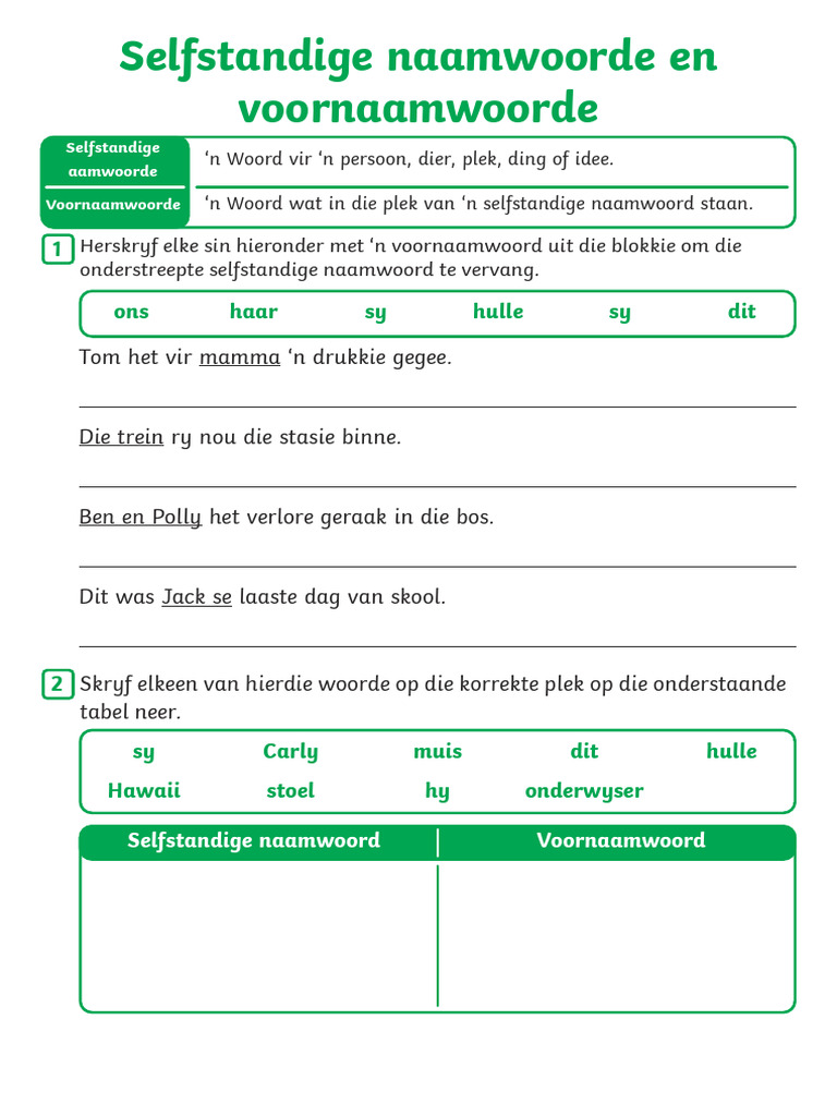 Selfstandige Naamwoord Werkkaart | PDF