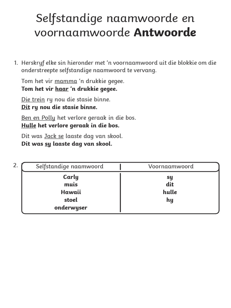 Selfstandige Naamwoord Werkkaart Memo | PDF