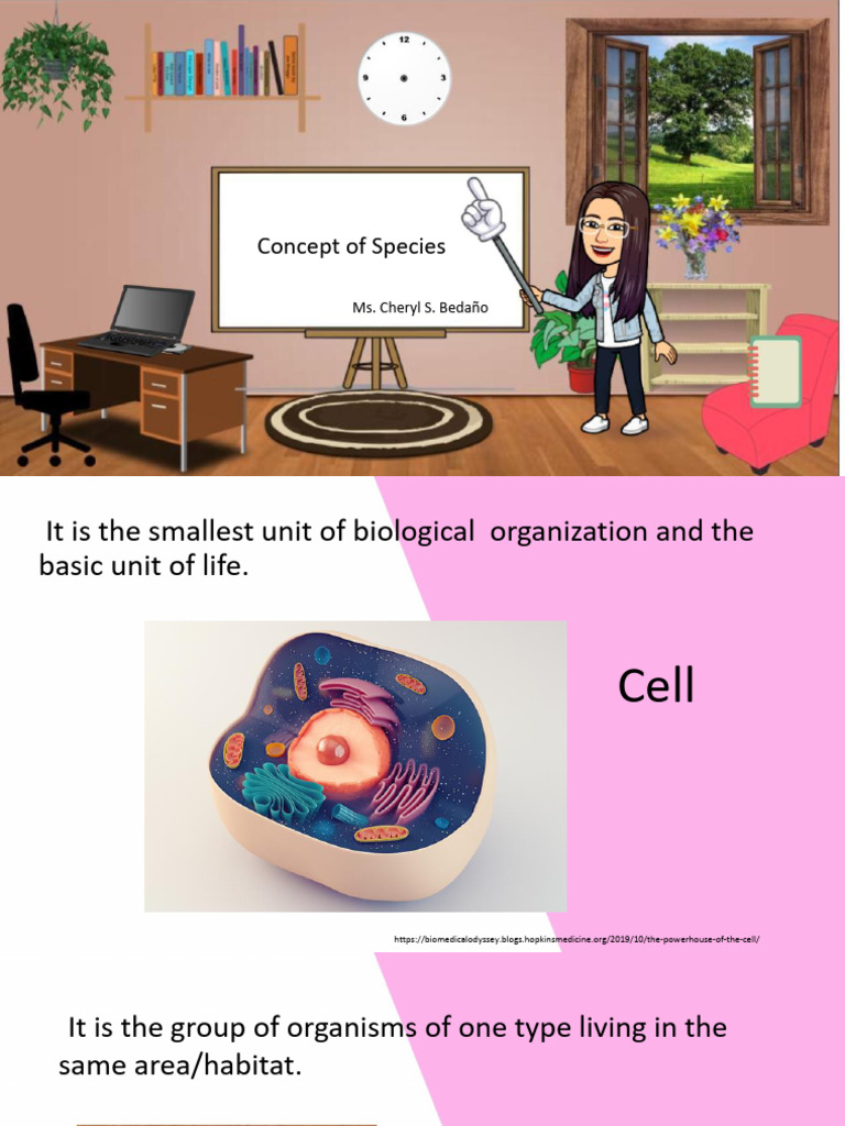 Understanding Species and Biodiversity Concepts | PDF | Species ...