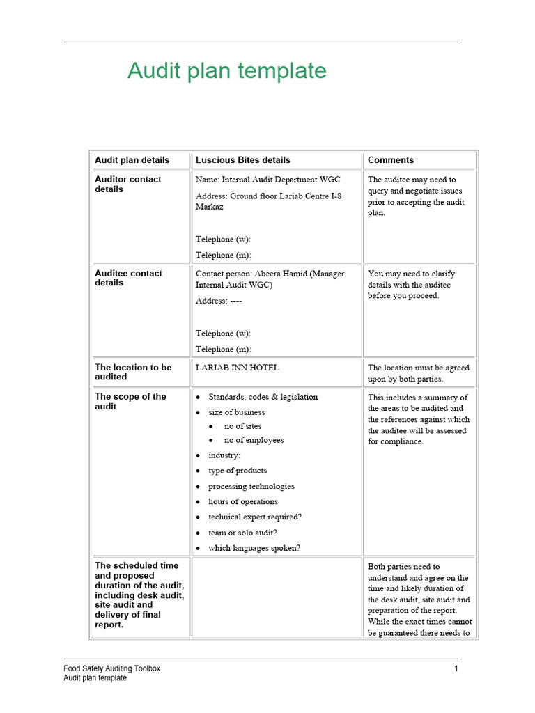 Audit Plan Template | Download Free PDF | Audit | Business