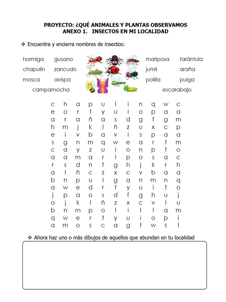 Observación de Animales y Plantas | PDF | Plantas | Organismos