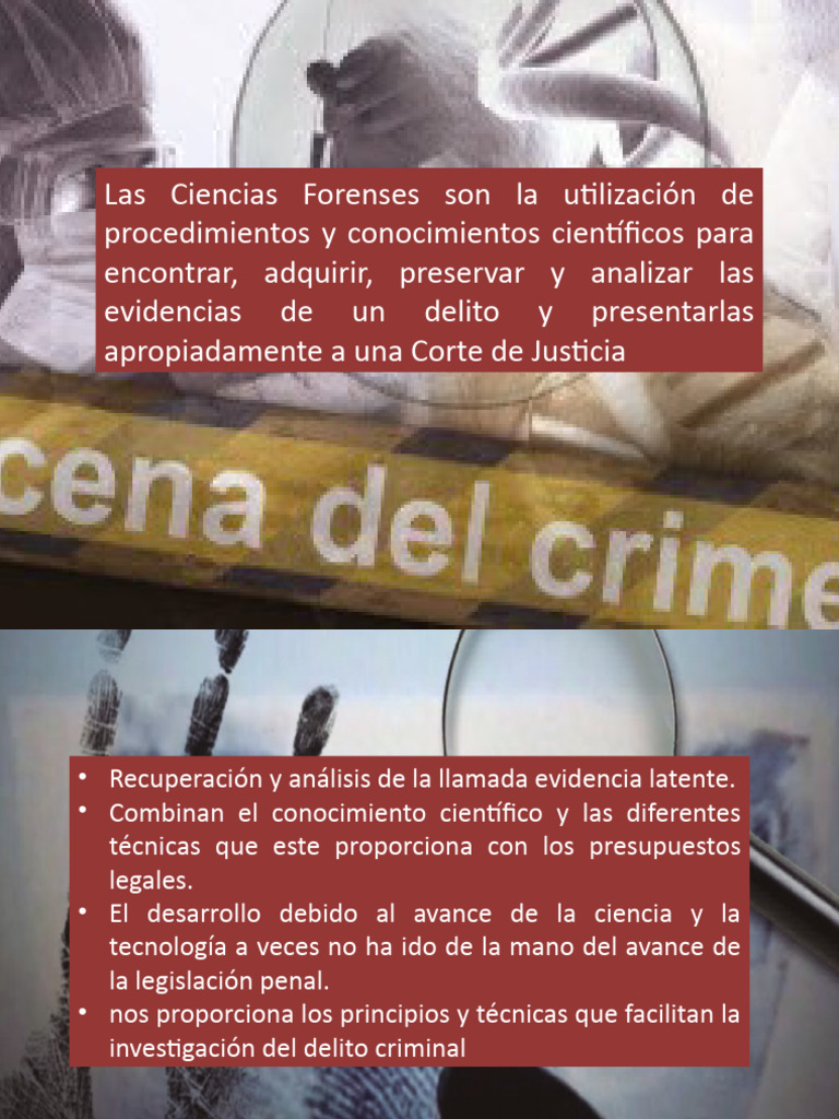 Introducción a las Ciencias Forenses | PDF | Ciencia forense