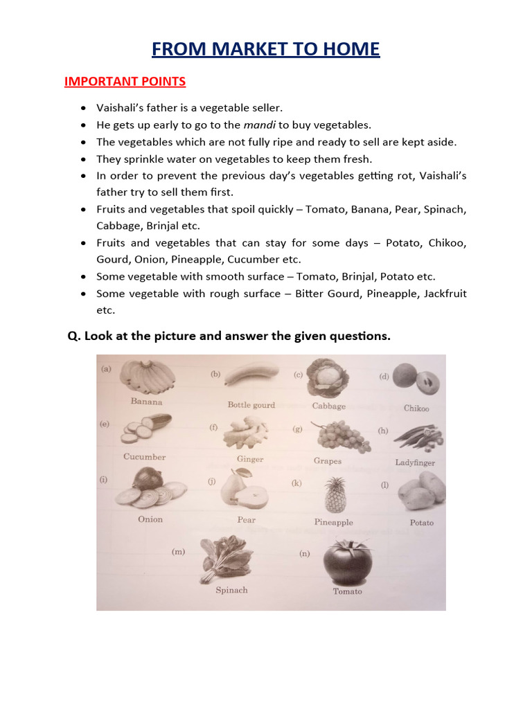 Vegetable Handling Insights | PDF