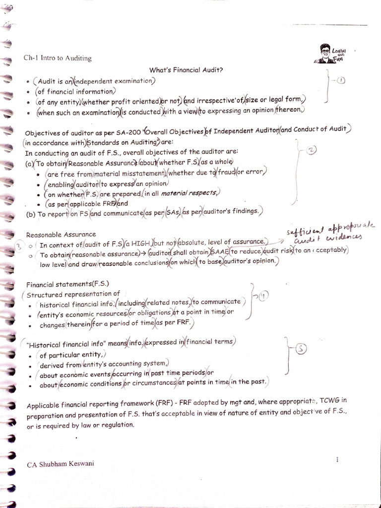 Audit Chapter 1 | PDF | Financial Audit | Audit