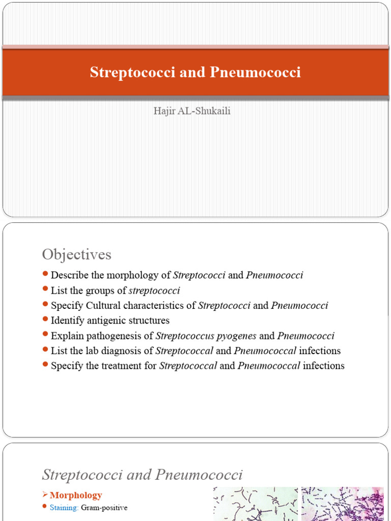 Streptococci and Pneumococci | PDF | Streptococcus | Microbiology