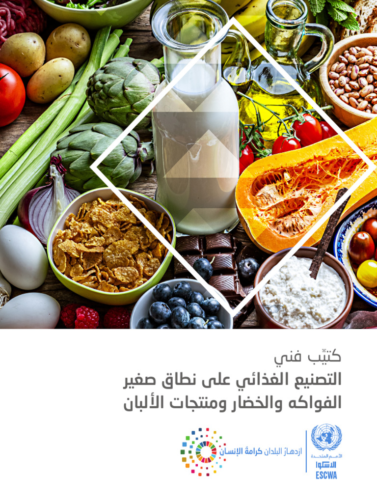 E Escwa Cl1.Ccs 2021 Booklet.2-Ar | PDF