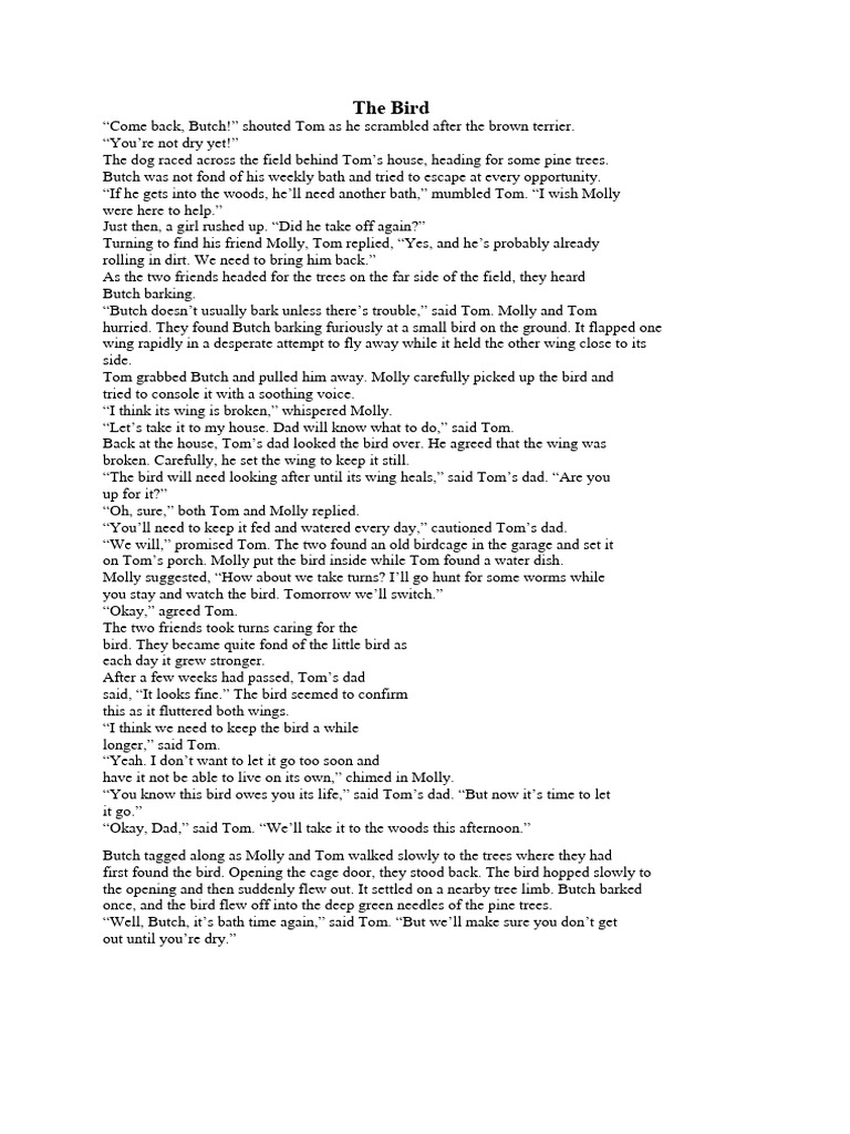 The Bird | PDF