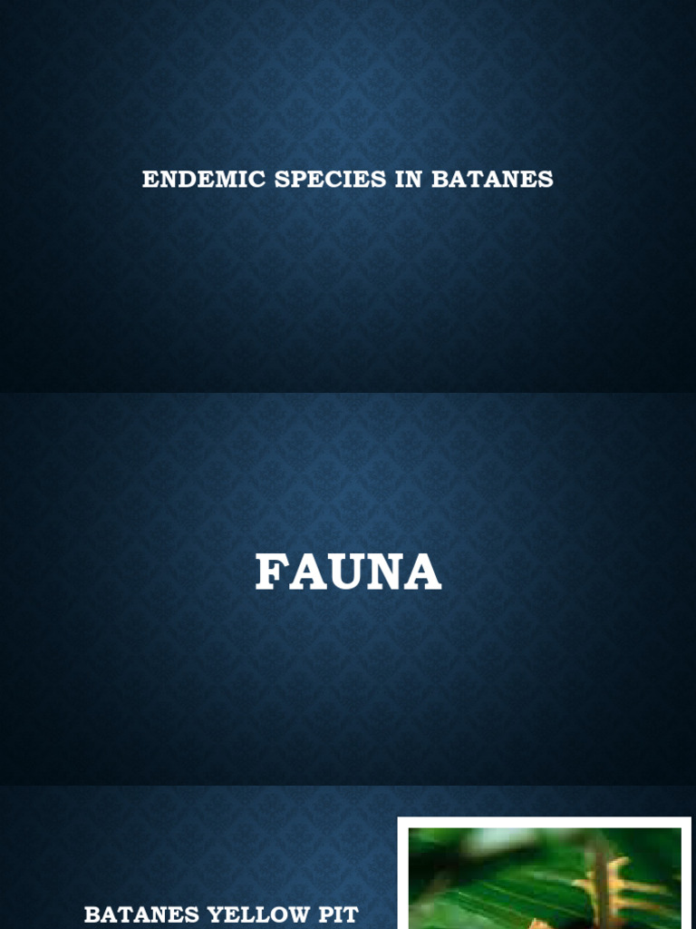 Endemic Species in Batanes | PDF | Trees | Wood