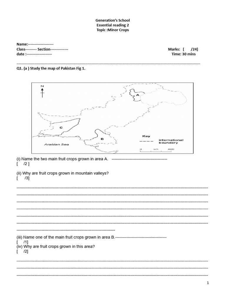 Minor Crops Worksheet | PDF | Botany | Food Industry