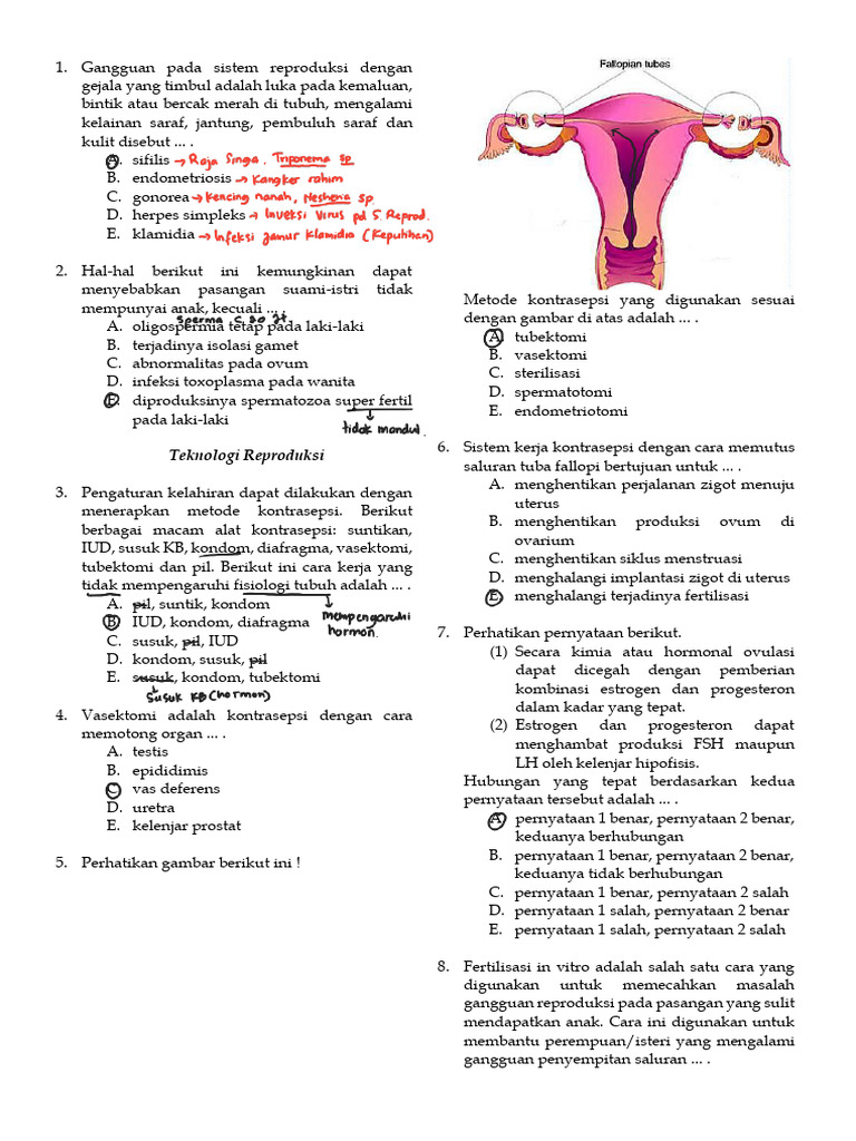 (XI) 10. Latihan Soal - Sistem Reproduksi | PDF