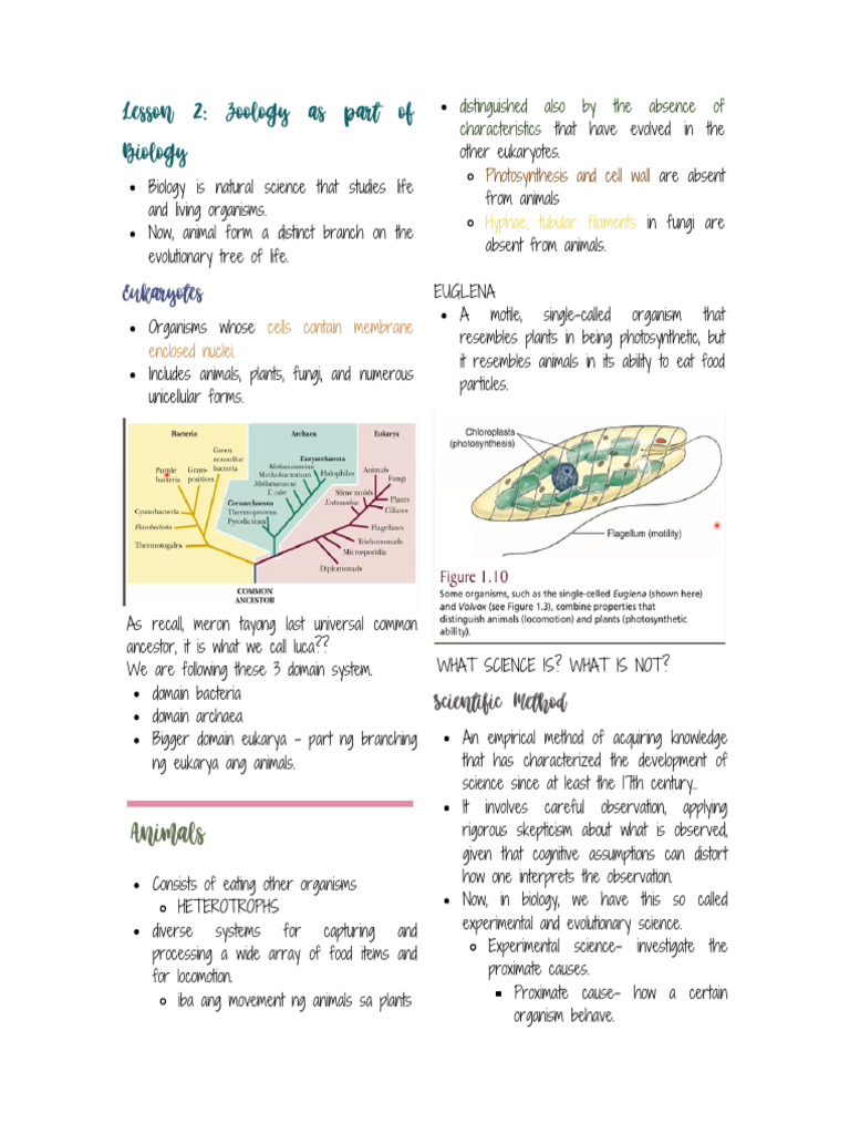 Lesson 2 Zoology As Part of Biology | PDF | Evolution | Biology