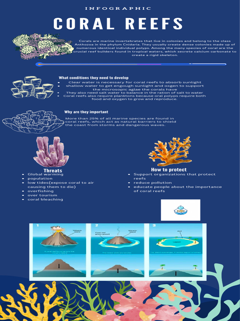 Coral Reefs | PDF