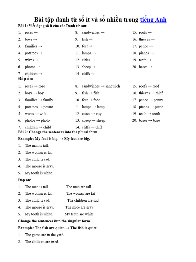 Bai Tap Danh Tu So It Va So Nhieu Trong Tieng Anh | PDF | Goose