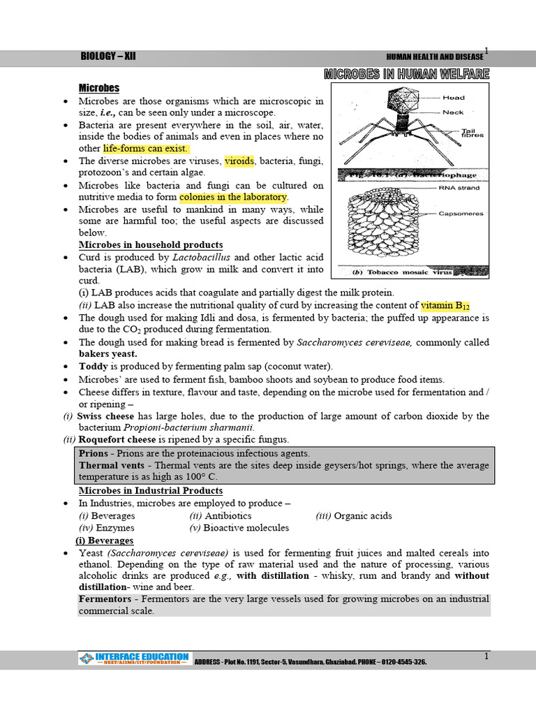 Microb Es in Human Welfare | PDF | Sewage Treatment | Anaerobic Digestion