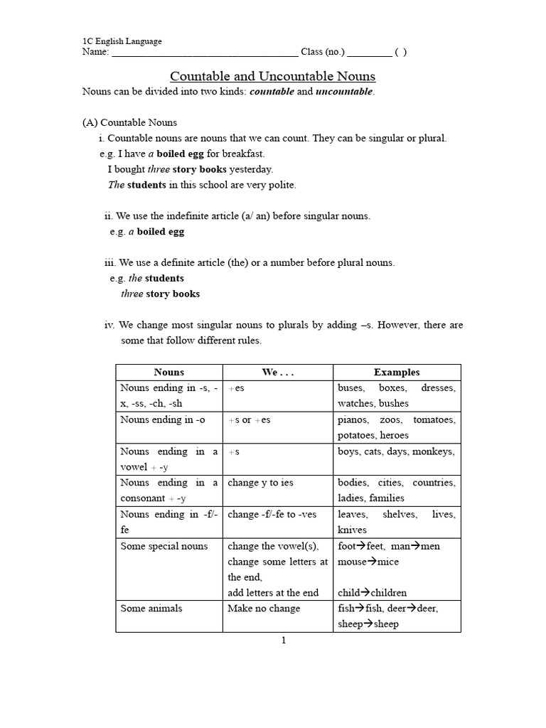 Countable and Uncountable Nouns | PDF | Noun | Plural
