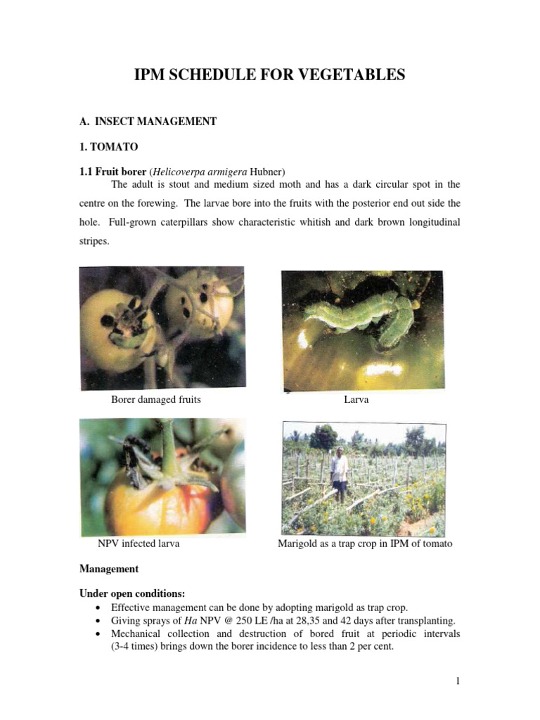 IPM_VEGETABLE_CROPS_26022015 | PDF | Pest (Organism) | Plants