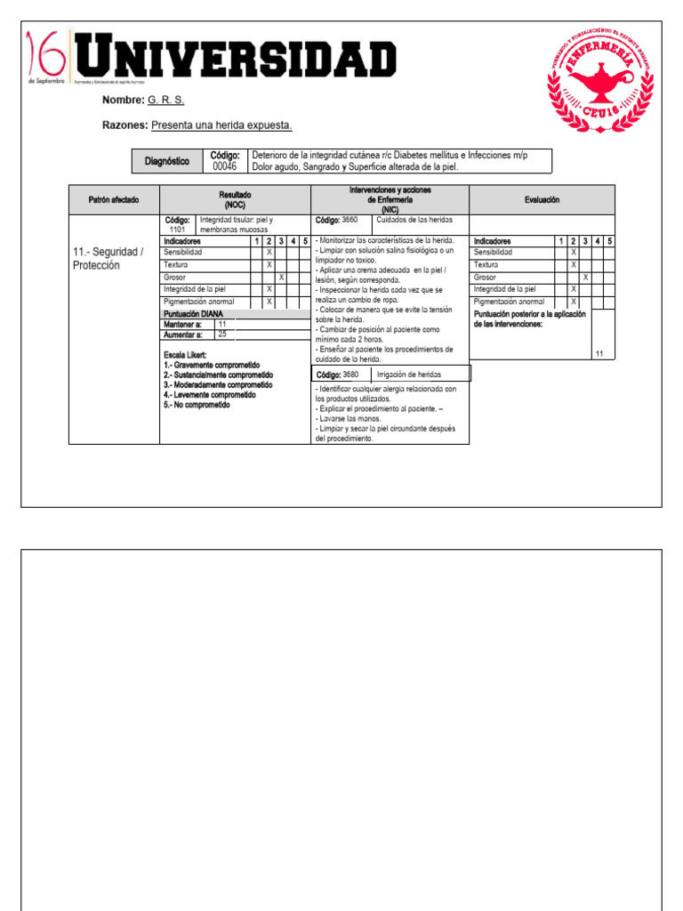 Plan de Cuidados 4 | PDF | Herida | Piel