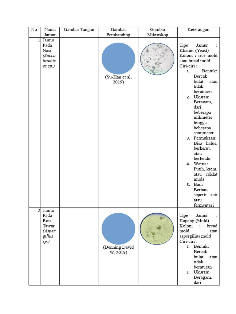 Tabel VPJ Jamur | PDF